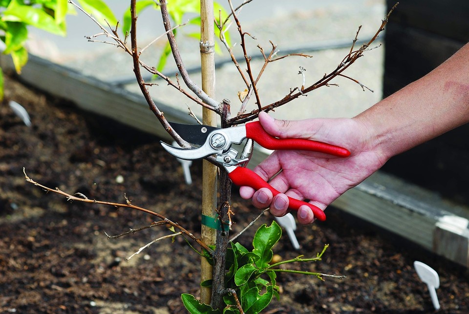 Bond Manufacturing Bond 4830 5/8-Inch Professional Grade Bypass Pruner ...