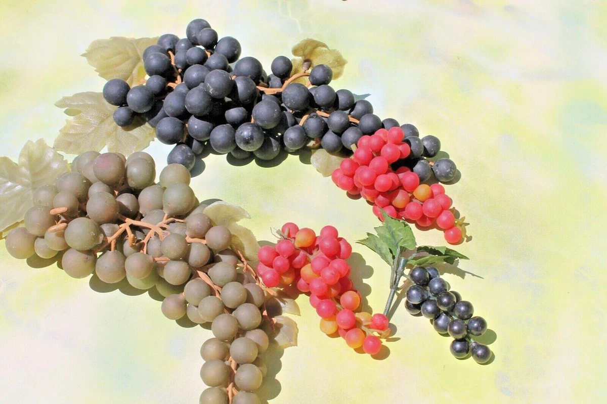 Purple Seedless Grapes