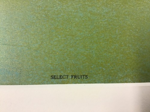 1911 Chromolithograph James Lee Chicago “Select Fruit” Nice Framez | eBay