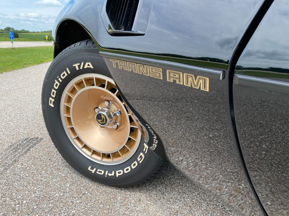 1981 Trans Am Turbo "Special Edition" Ultimate Decal & Premolded Stripe ...