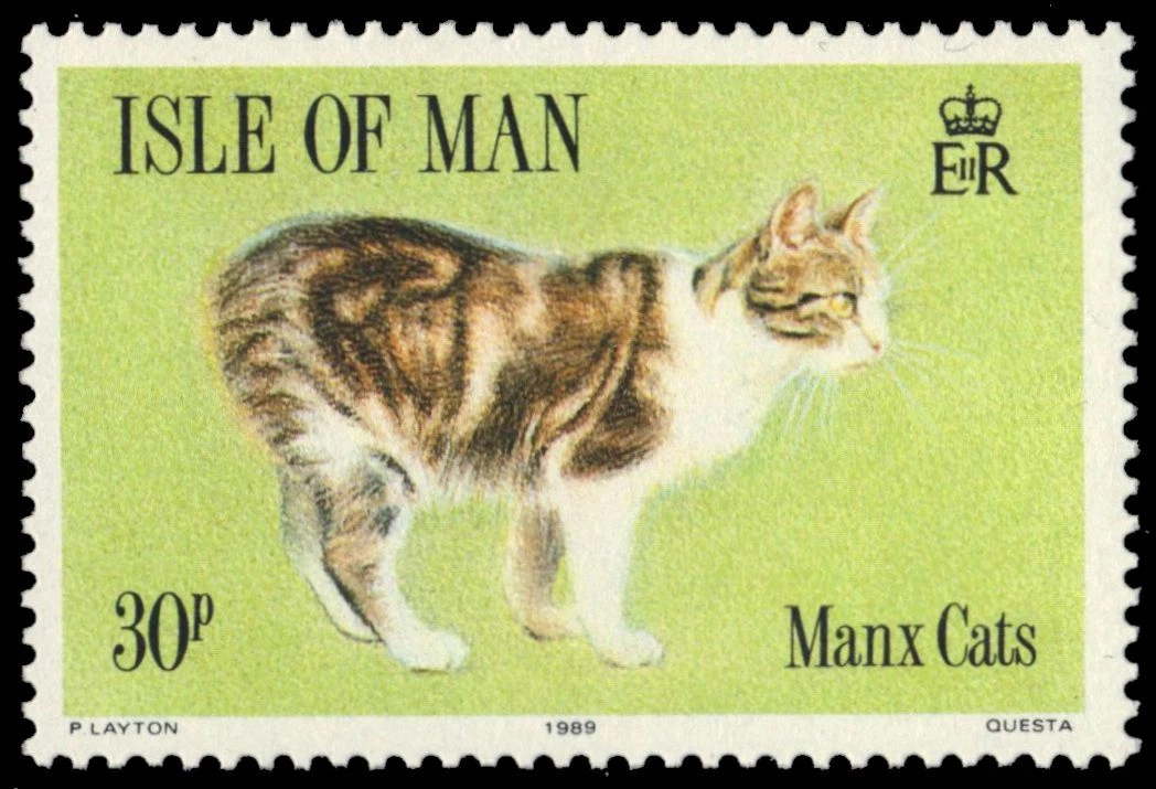 What Are Manx Cats