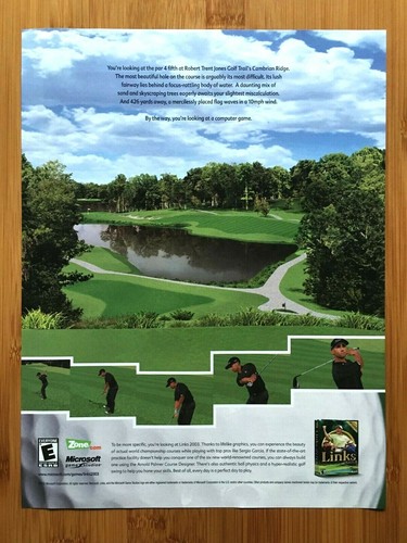 Microsoft Links 2003 PC Vintage Print Ad/Poster Golf Video Game Man ...