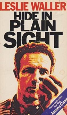 Hide in Plain Sight by Waller, Leslie Paperback / softback Book The ...