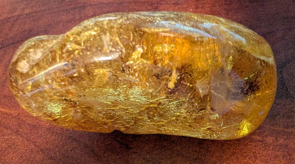 NICE specimen!! Large 116g Rare Kauri tree Gum polished New Zealand ...