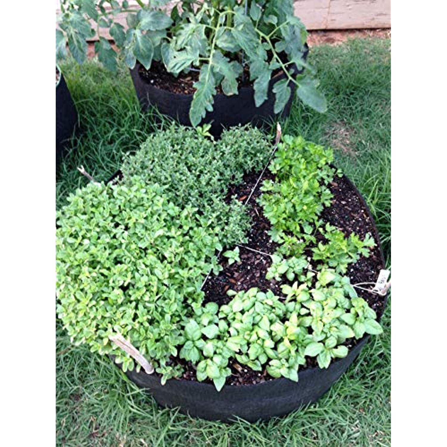 Smart Pots 100511247 Big Bag Fabric Raised Bed, Original, Black | eBay