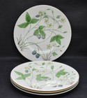 Frederik Lunning NY Porcelain Plates Wild Berries & Blossoms Blackberry ...