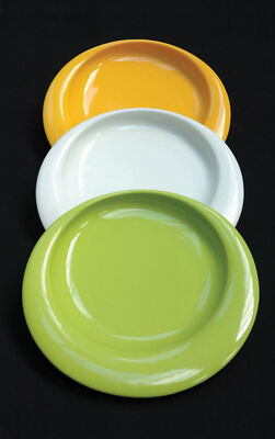 Wade Dignity Plate Dinner Disabilities One Handed Use Large Rim Sloped ...