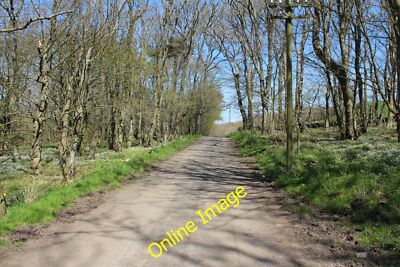 Photo 12x8 Road to Ardwell Ardwell/NX1045 c2013 | eBay UK