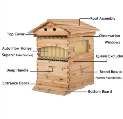 Auto Flow honey beehive set (wooden beehive + 7x flow frames + brood ...