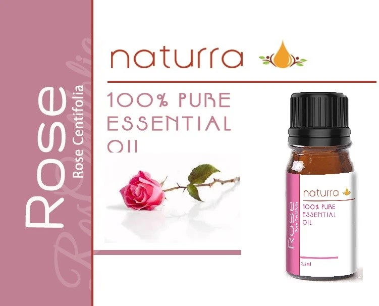 Rosa Centifolia Flower Oil | Best Flower Site