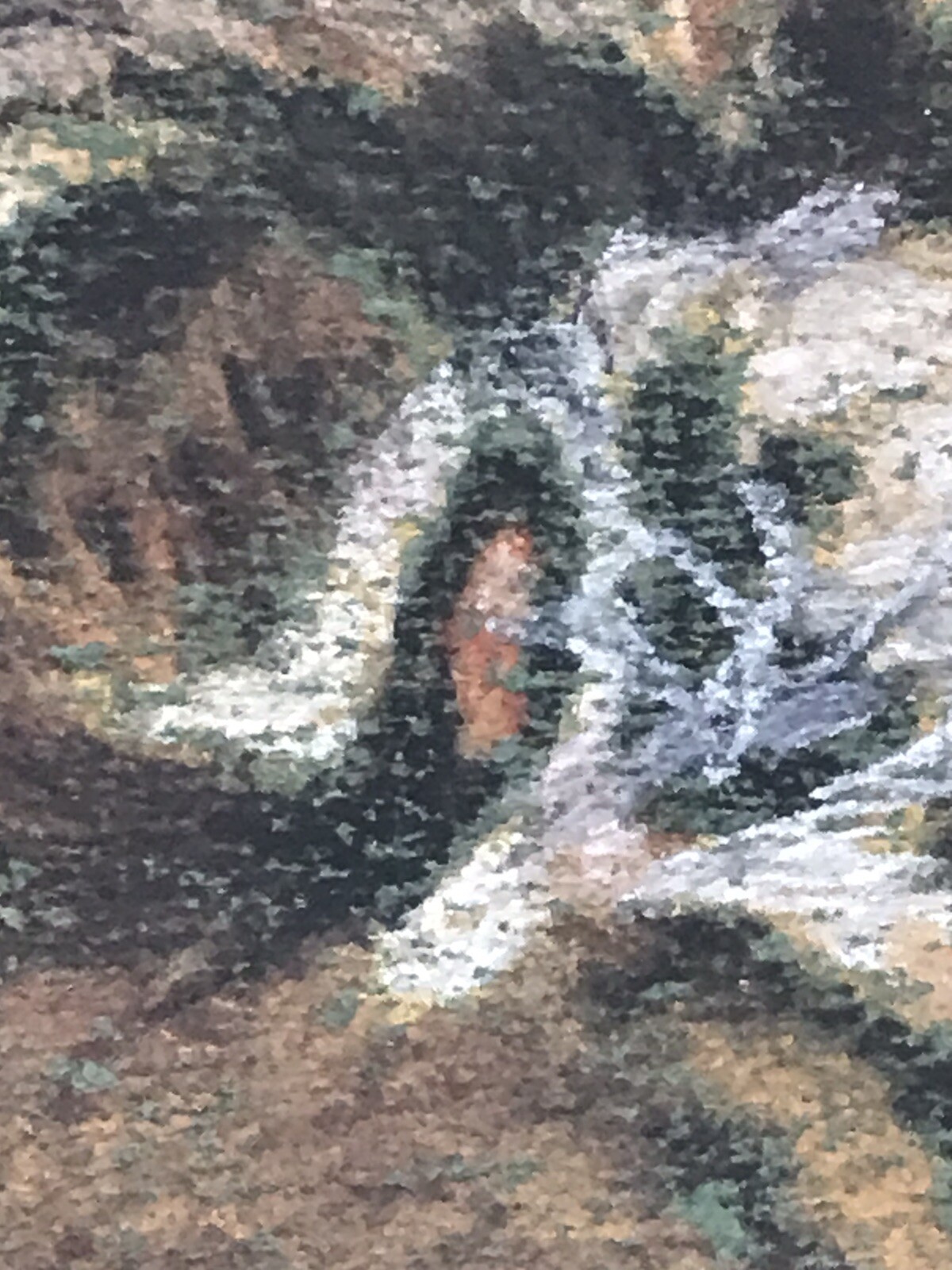 Pastel Painting Drawing of Tiger by Hester M. Joubert | eBay UK