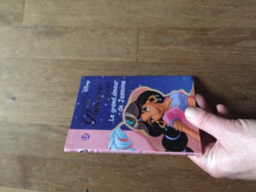 BIBLIOTHEQUE ROSE MA PRINCESSE PREFEREE 12 grand amour de jasmine 06 ...