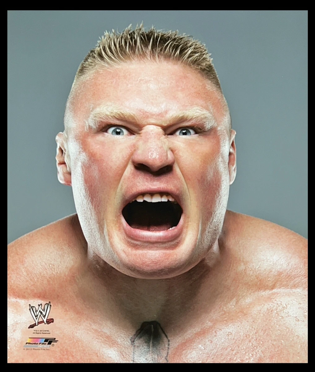 Wwe Funny Faces