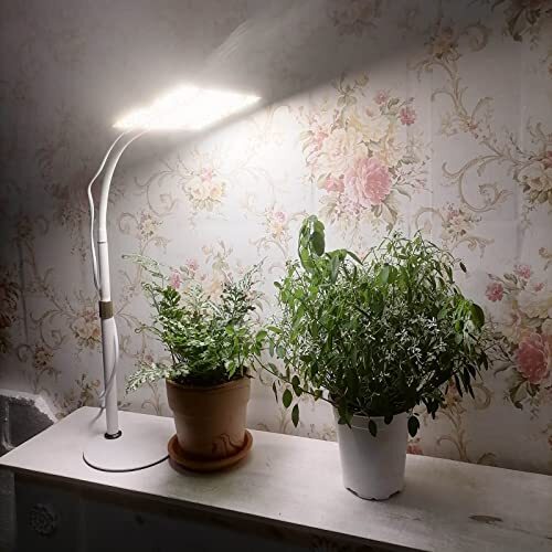 Desk Grow Light Full Spectrum Table Top Plant Grow Light Iruv Included ...