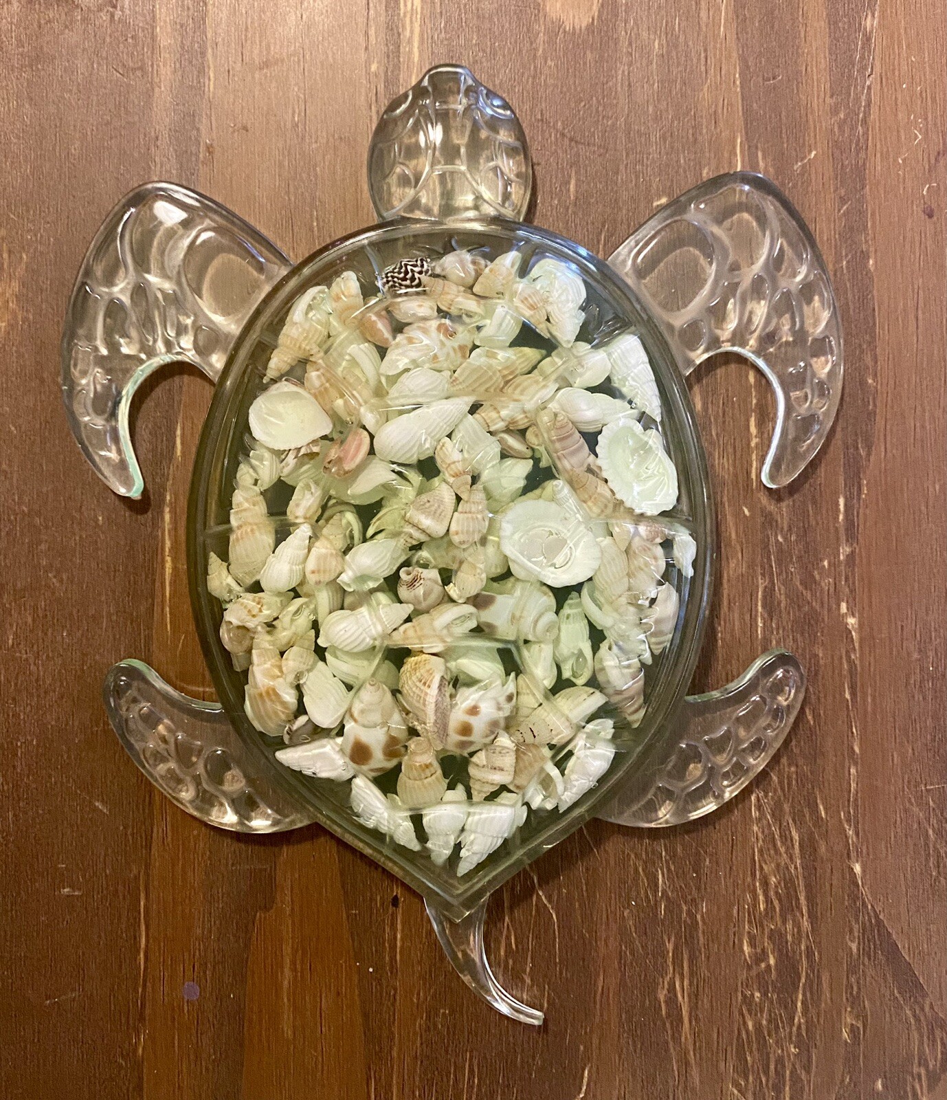 Sea Turtle With Mix Of Sea Shells, New and Unique, One Of A Kind, Made ...