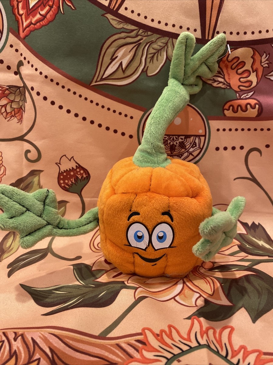 Square Pumpkin Spookley The Square Pumpkin (DVD, 2013) 767685295113
