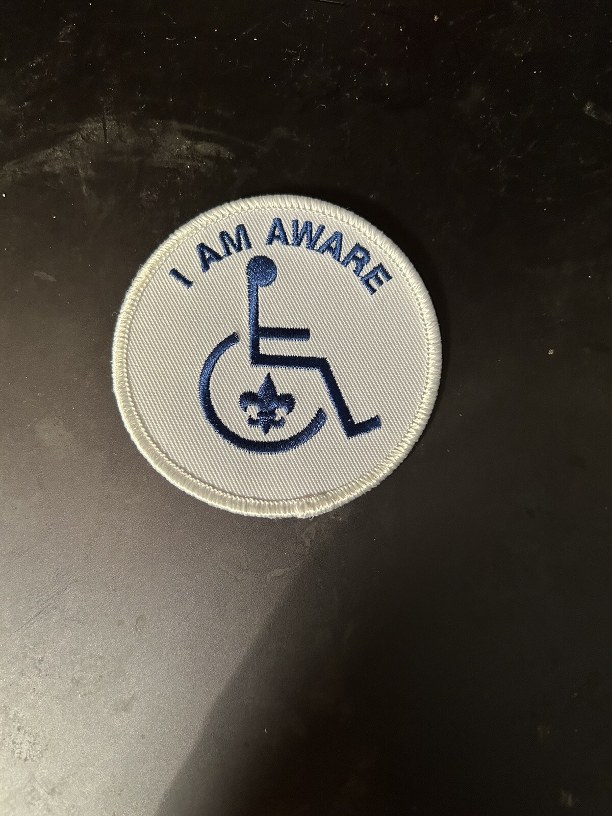 BSA-Sea Scout/Explorer/Boy Scout: "I AM AWARE" Special Needs ...