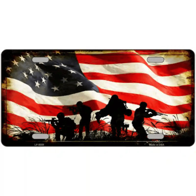 License Plate, Metal Vanity Tag Cover, American Freedom Fighters ...