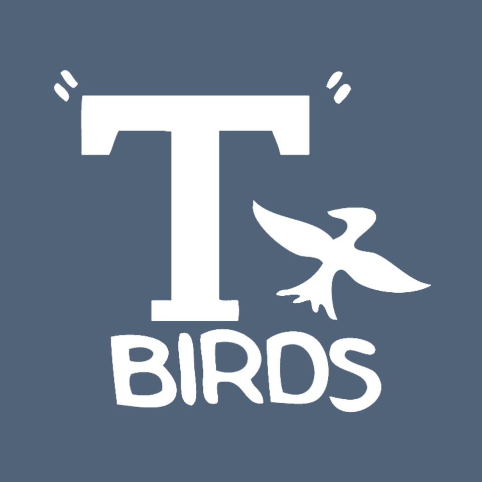 T Birds Grease Vinyl Decal Sticker - Also Great For Jackets For ...