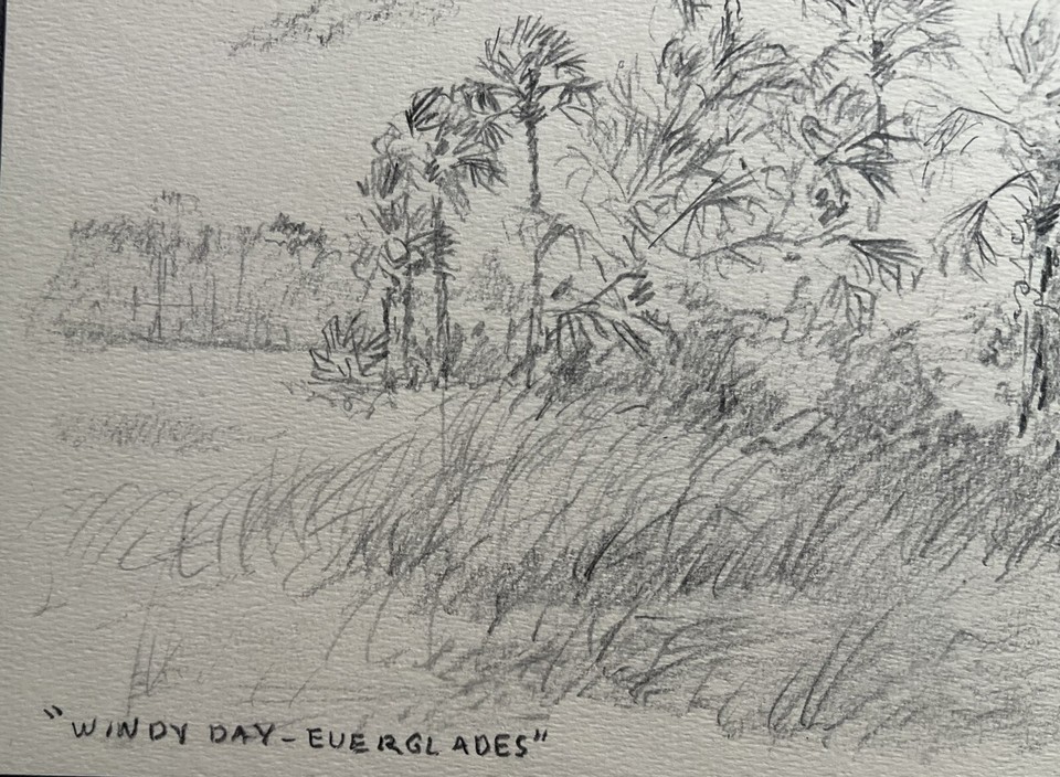 RARE A.E. BACKUS FLORIDA SKETCH ON PAPER"WINDY DAY EVERGLADES" FRAMED ...