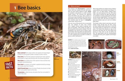 Tim Heard Australian Stingless Bees | Native Bee Book | OATH Beehive ...