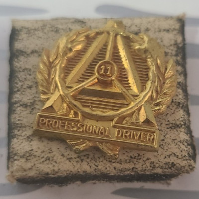 Vintage "11 Years Professional Driver" Pin | eBay