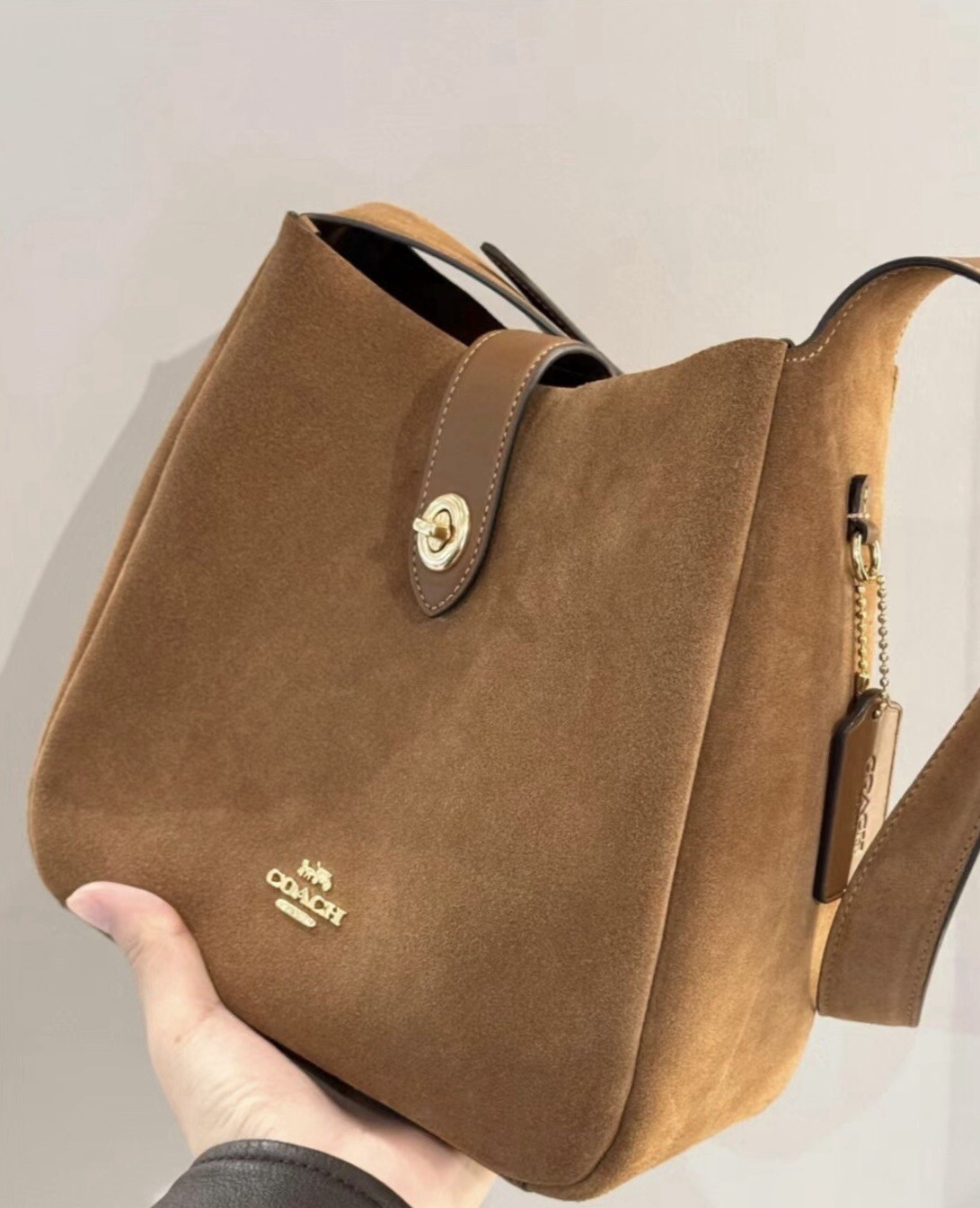 NWT Coach Hadley Convertible Crossbody Bag In Suede CW004 | eBay