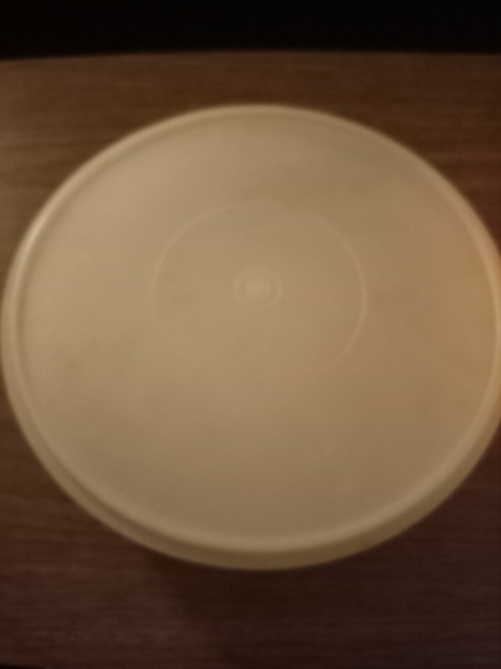 Vintage Tupperware with #224-15 Tupper Seal Lid Carry All Container | eBay