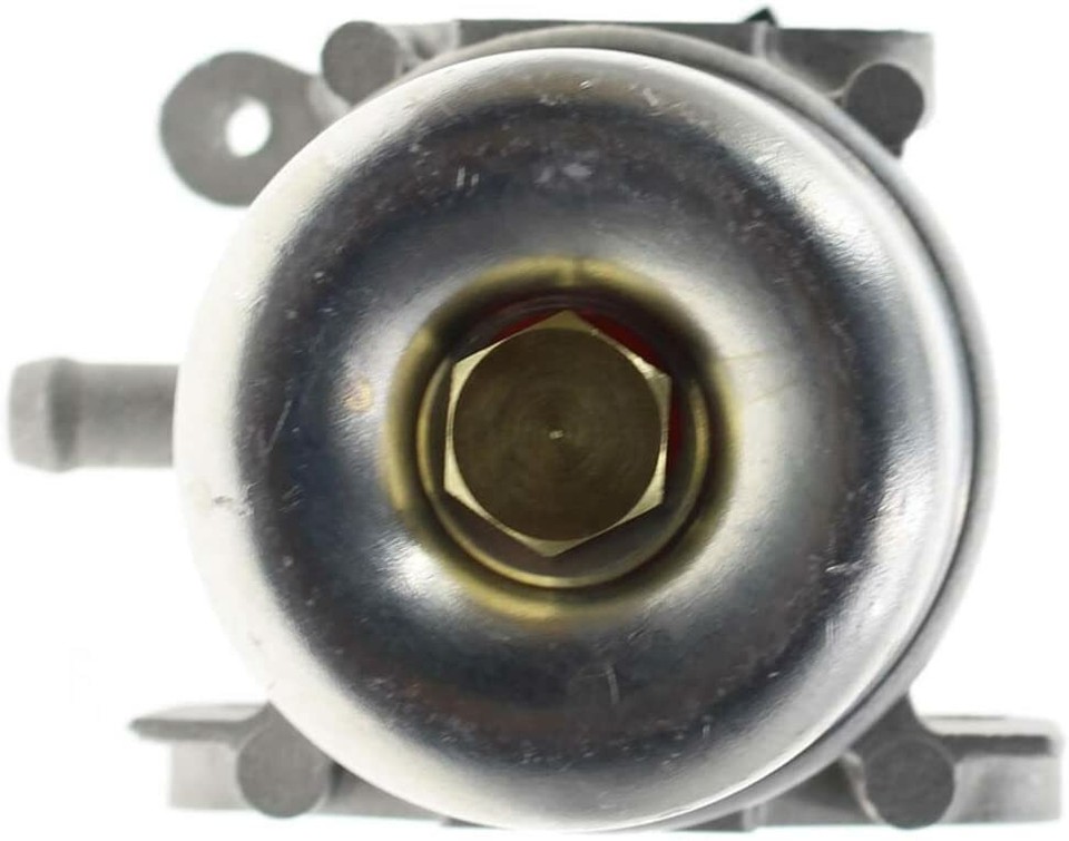 Carburetor for Briggs & Stratton 799866 790845 799871 796707 794304 ...