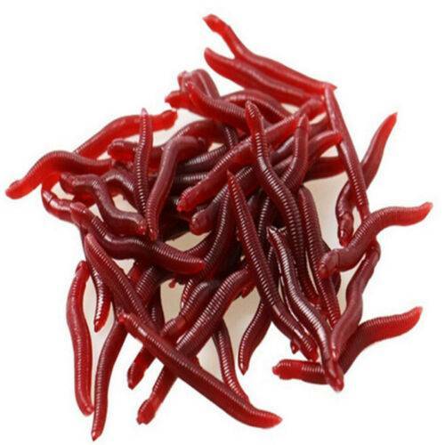 Bulk Soft Red Earthworm Fishing Bait Worm Lures Crankbaits Hooks Tackle ...