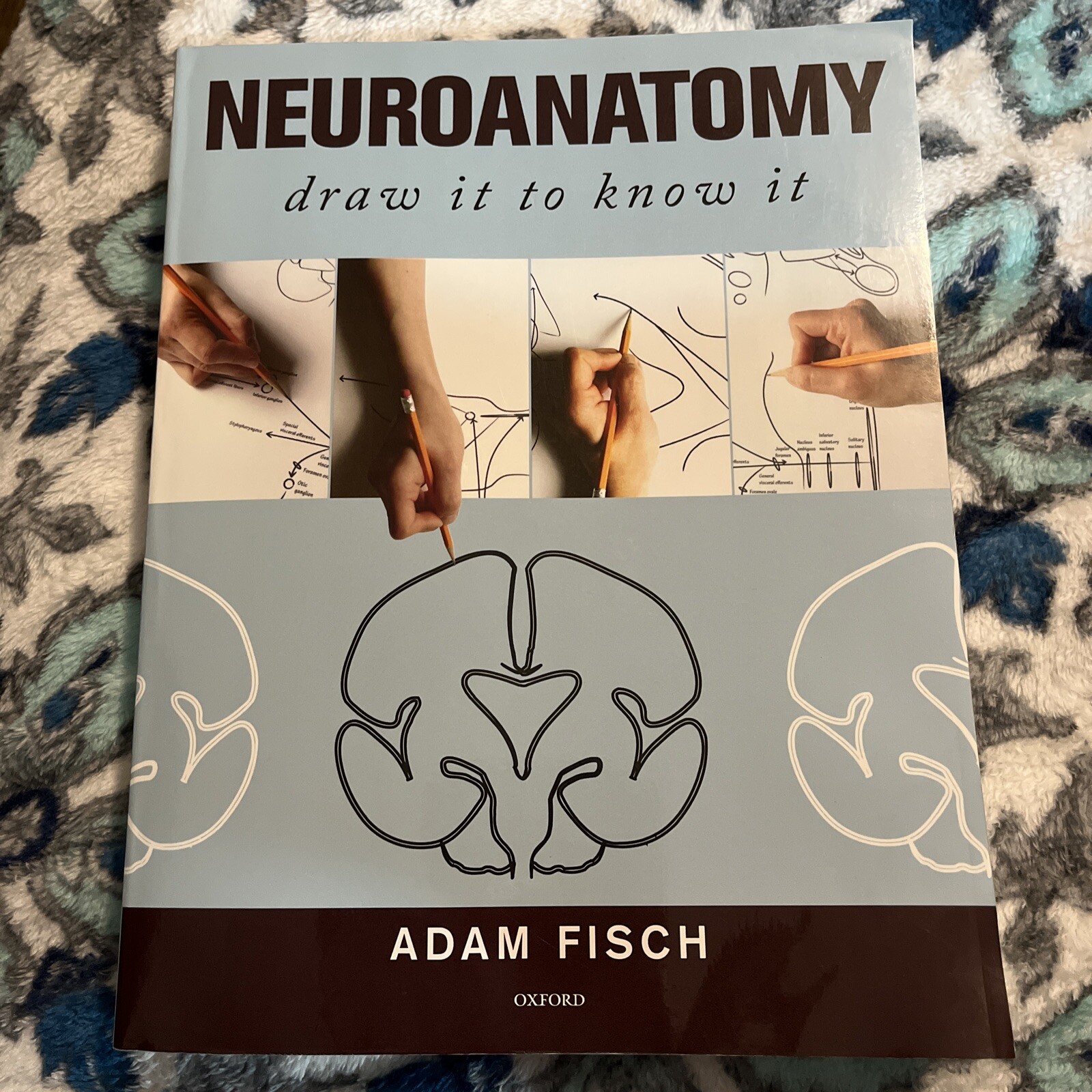 Neuroanatomy: Draw It to Know It by Adam Fisch (2009, Trade Paperback ...
