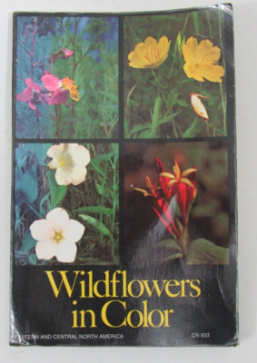 Wildflowers in Color A Field Guide to More than 250 Wildflowers ...