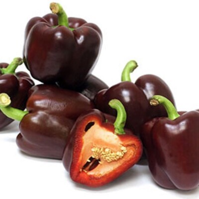 PAPRIKA 'Mini Bell Chocolate' 10 Samen CAPSICUM ANNUUM Sweet Pepper ...