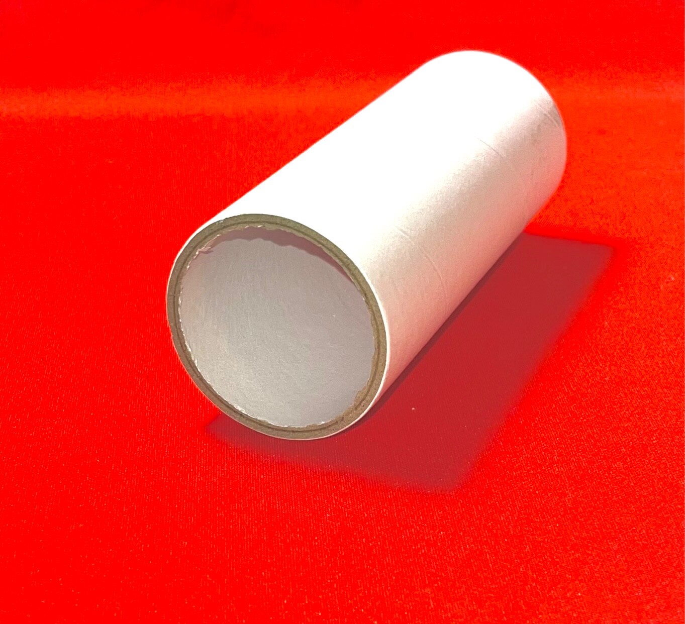 Empty Toilet Paper Tube White Cardboard Craft Project Art DIY Project ...