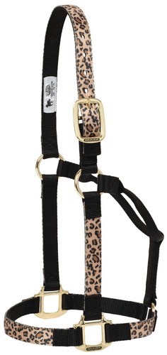 Weaver Non-Adjustable Nylon Halter, Leopard Pattern, Medium, 35-6781-202 399130258| eBay