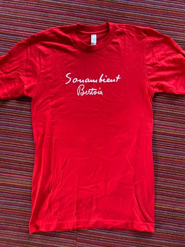 HARRY BERTOIA SONAMBIENT SOUND SCULPTURE SIGNATURE T SHIRT mid century ...