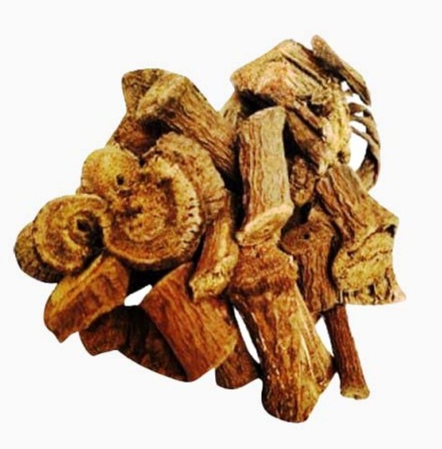 Kaunch Roots, Mucuna Root, Konch Jadd, Konch Root, Alkusi, Dulagondi ...