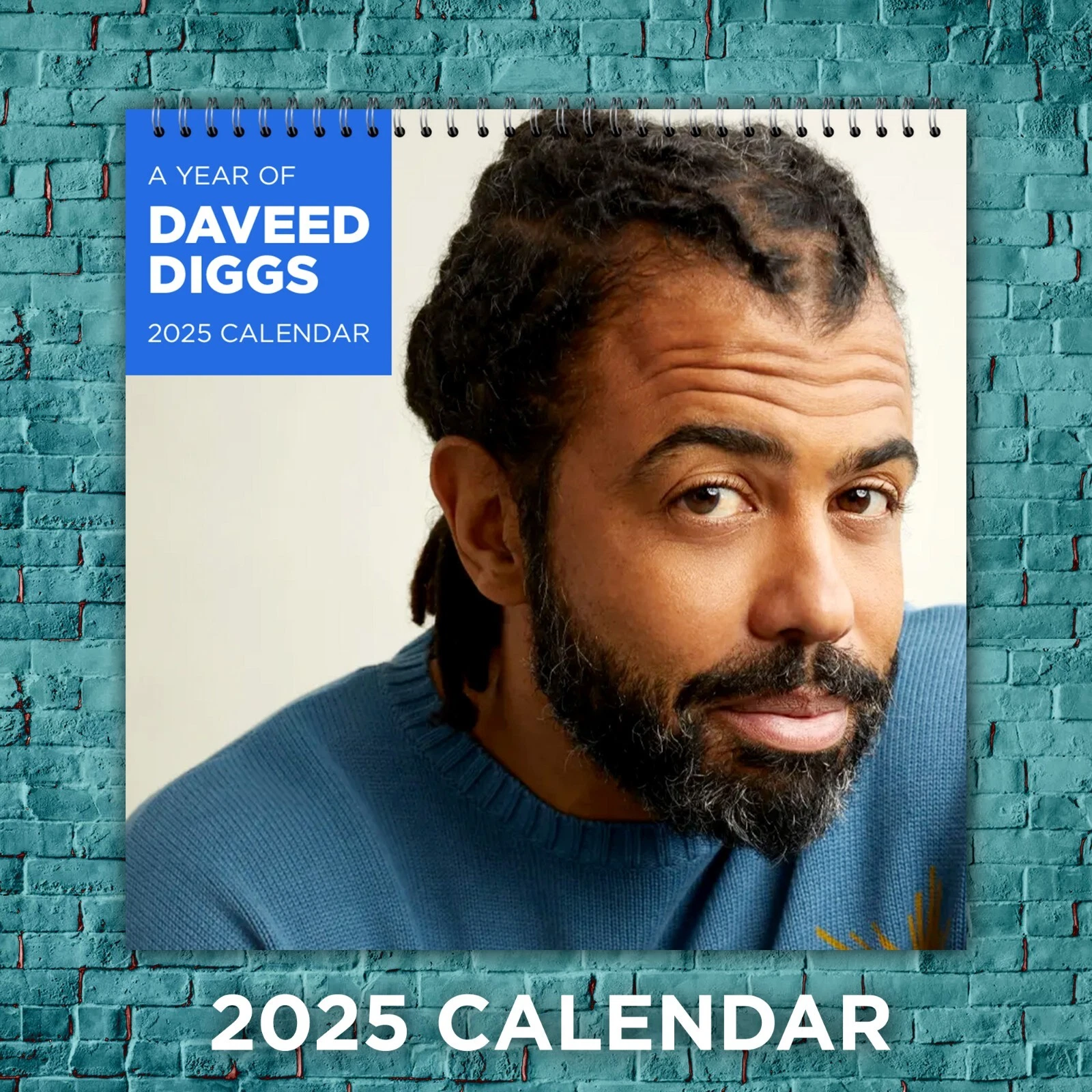 Daveed Diggs TV Stars Calendar 2025, 12-Month Actor Wall Calendar | ID 20317067 by Tanica Bailey ...