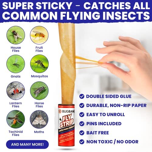 24 Fly Strips Indoor Sticky Hanging with Pins. Fly Trap Fly Paper ...