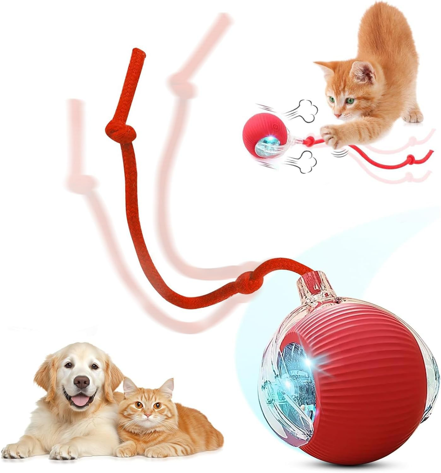 USB Rechargeable Fun Smart Toy Chase Teaser Ball for Indoor Cats- Dogs ...