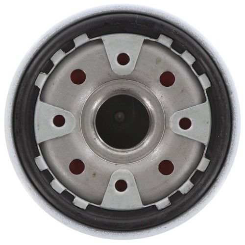 Donaldson Oil Filter P502016 | eBay Australia