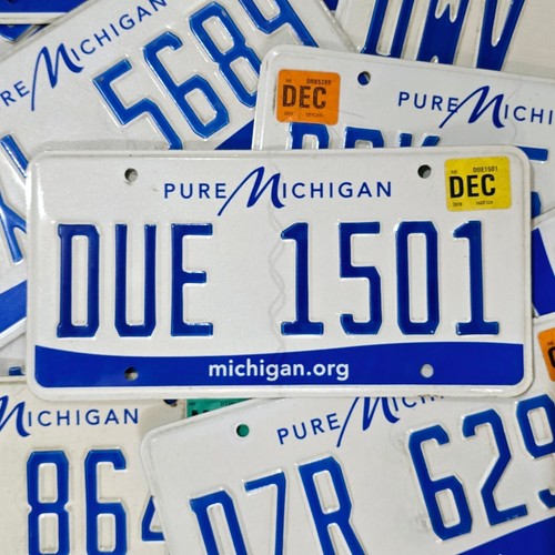 MICHIGAN LICENSE PLATE 🔥FREE📫🔥 1 w/RANDOM LETTERS & #'S ~ READ ...