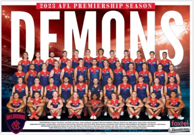 2023 MELBOURNE DEMONS TEAM POSTER, BIG 420mmx300mm,AFL FOOTBALL 3 ...