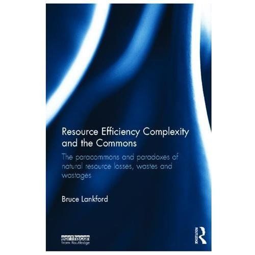 Resource Efficiency Complexity and the Commons : The Paracommons and ...