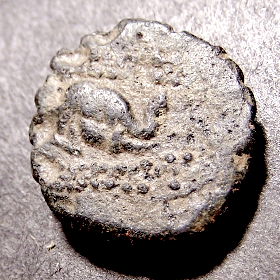 DEMETRIOS I, Heads of War Elephant & Horse, 16mm, ca 160 BC, Greek King ...