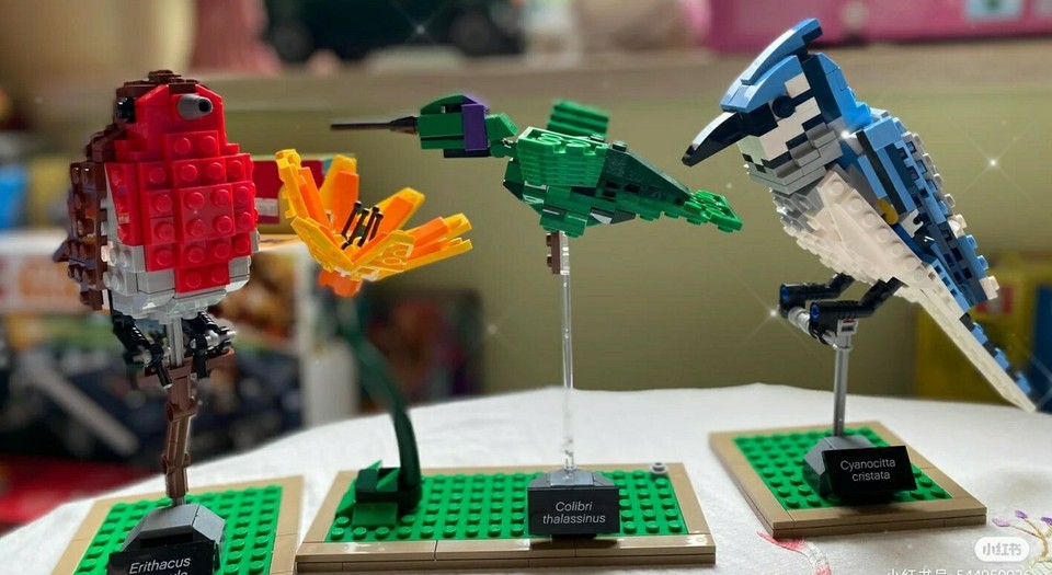 Lego Ideas Birds (21301) | Blue Jay, Hummingbird, Robin Retired | NISB ...