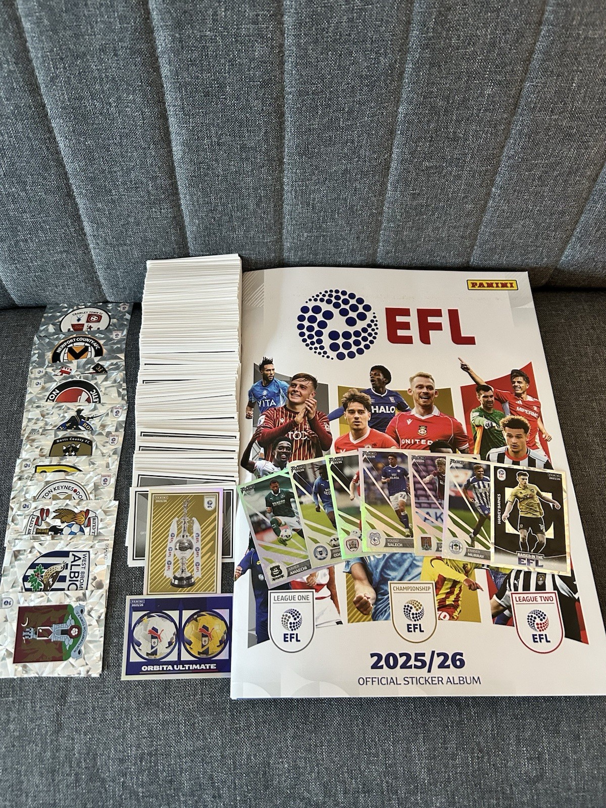 EFL Panini Sticker Collection 2025/2026 Bundle. 365 Stickers. NO ...