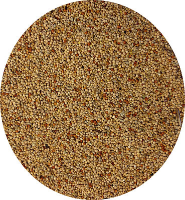 Foreign Finch Seed 10kg 5kg 2kg 3kg 1.5kg 1kg 700g 500g 250g Food Feed ...