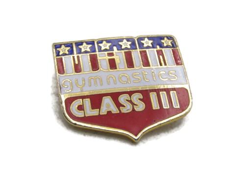 USA Gymnastics Class III Pin Gold Tone | eBay