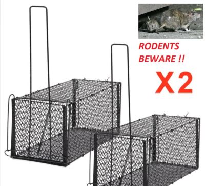 2 X Large RAT Squirrel Spring Cage Trap Humane Live Rodent Indoor ...